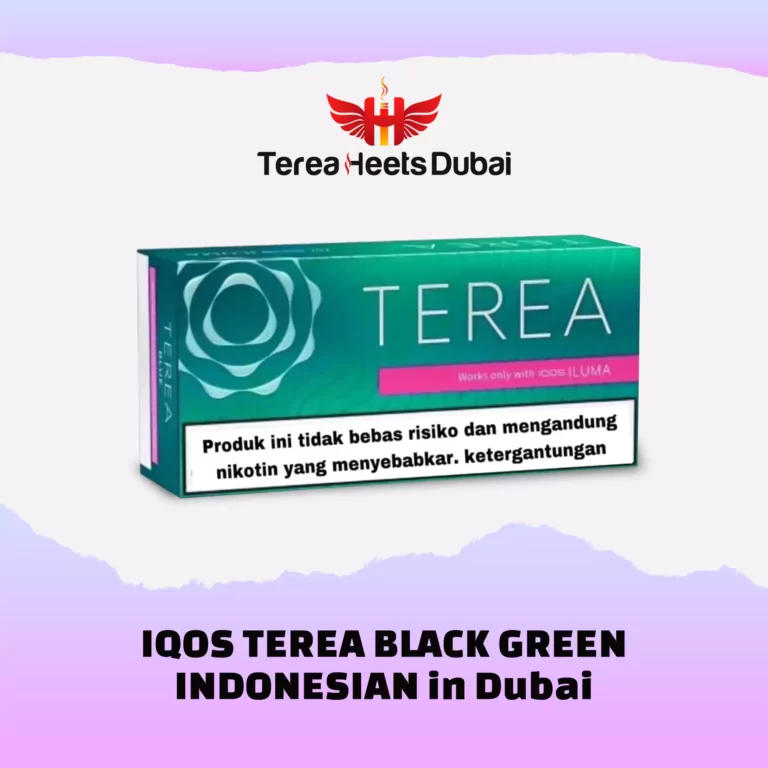 IQOS TEREA Bold Regular in Dubai UAE